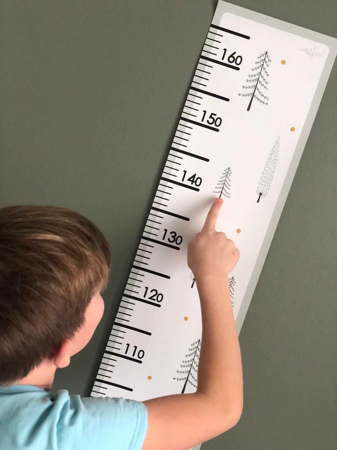 Paper Growth Chart For Kids - Fir Trees | Hertwill