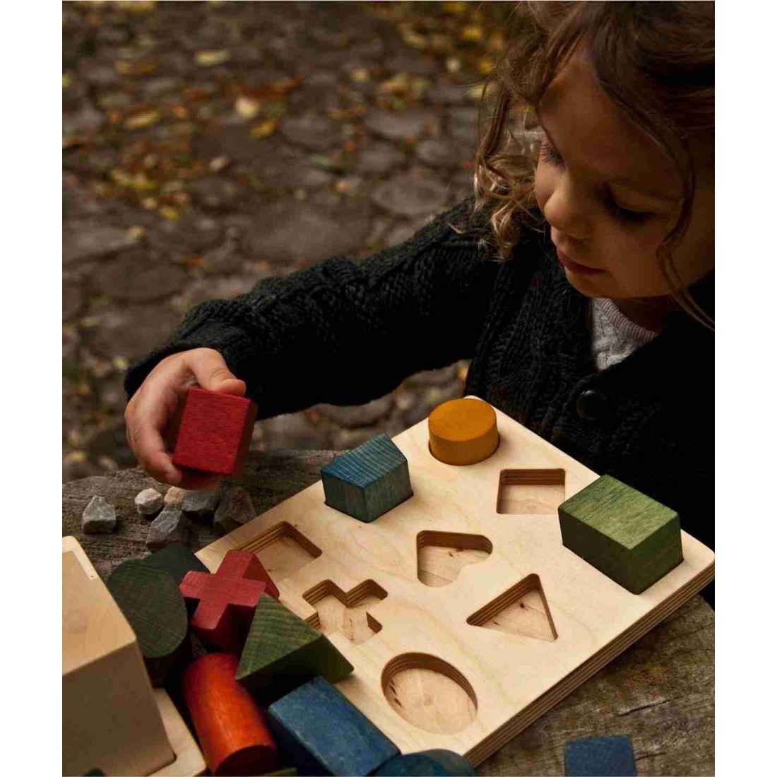 Wooden Shape Sorting Blocks - Colors | Hertwill